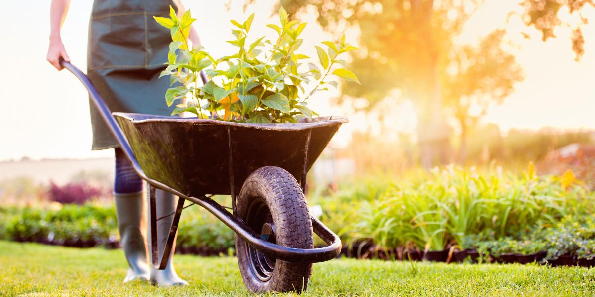 Fitnessübungen für dein Garten-Workout | #BeatYesterday